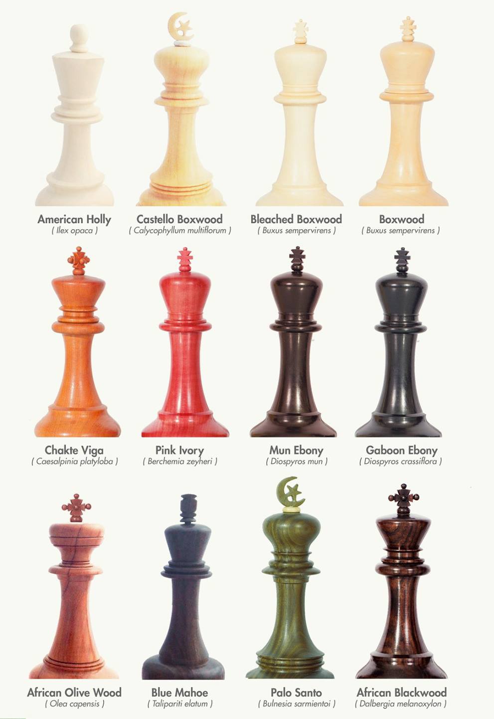 The Wood for Chessboard: A Definitive Guide - The Chessboard Vault